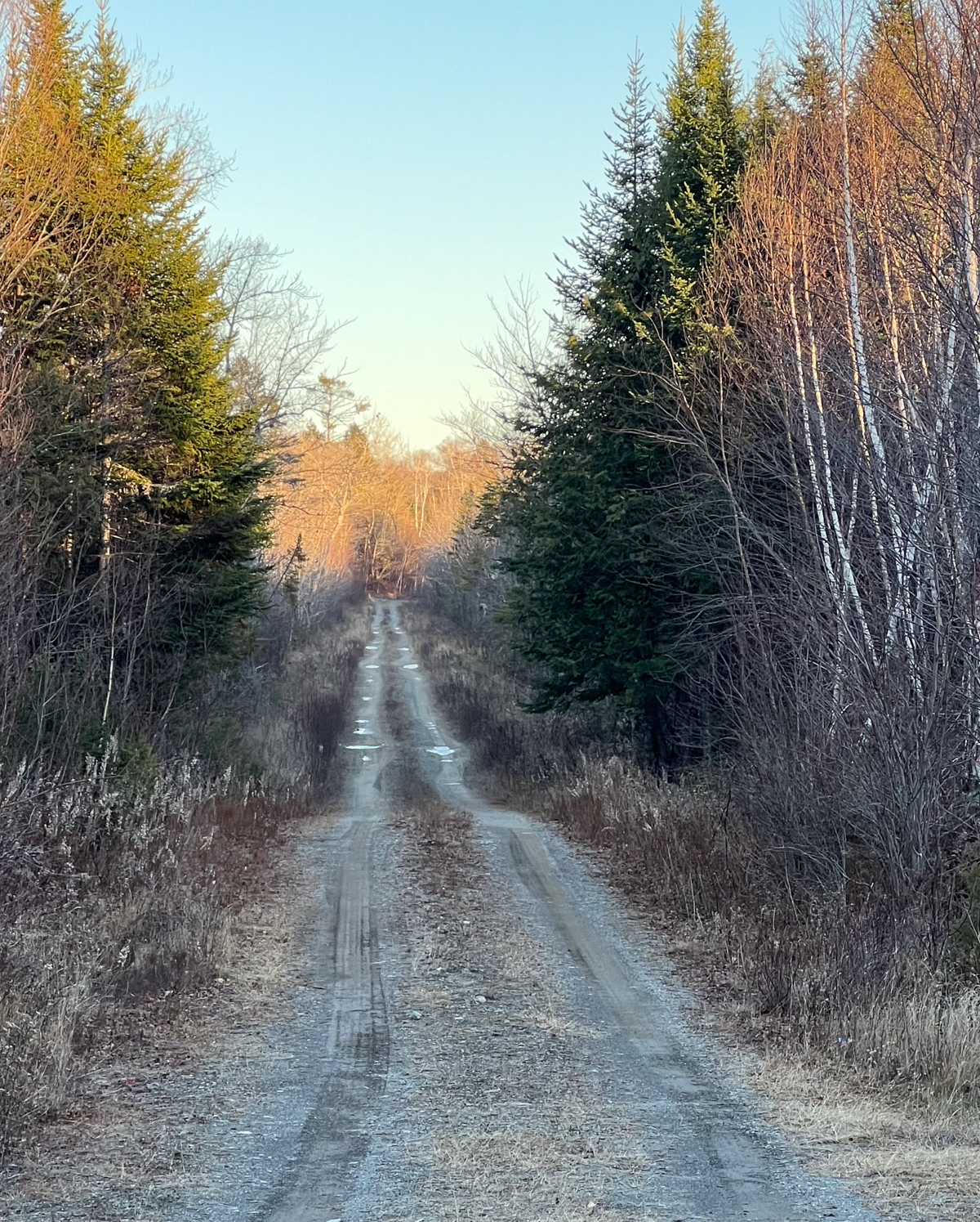 New ITS Trail 105 south of Danforth - East Grand Snowmobile Club